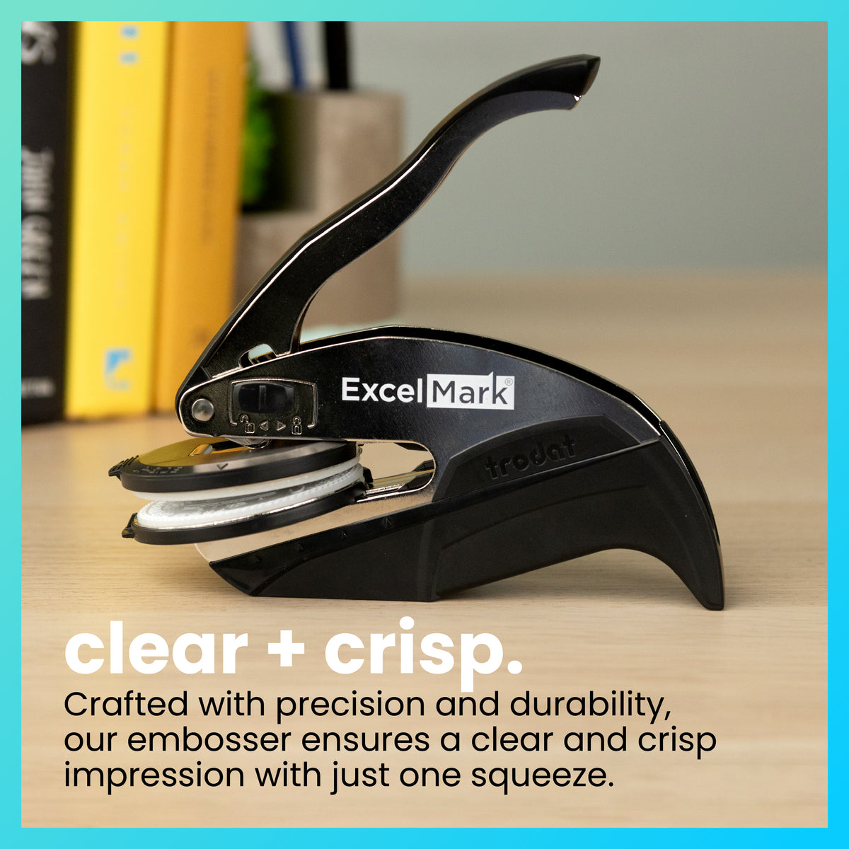 Kids Cute Dinosaur Book Embosser – RubberStamps.com