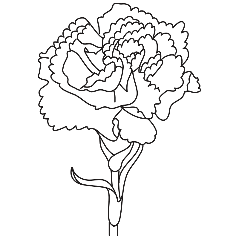 Carnation Stamp – RubberStamps.com