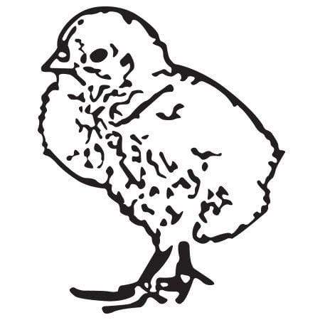 Chick Stamp – RubberStamps.com