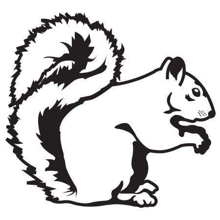 Squirrel Stencil